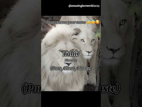 10 beautiful boy names with letter T #viral #subscribe #support #muslim #islam #shorts #T #names