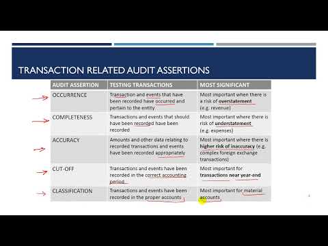 21. Audit Assertions