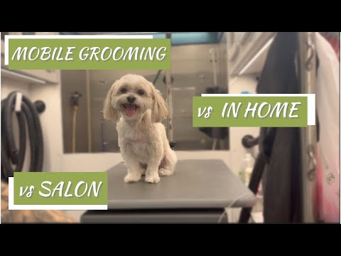 Mobile Grooming vs Storefront vs In Home - for groomers!