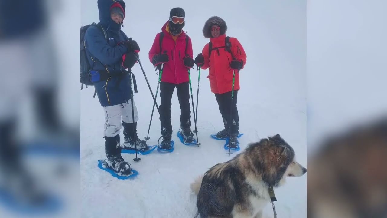 Winter hiking at Pip Ivan mountain in Ukraine - February 16th, 2022