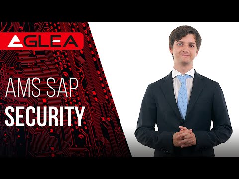 AMS SAP Security