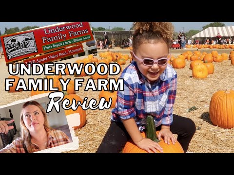 **NEW UNDERWOOD FAMILY FARMS PUMPKIN PATCH REVIEW || HALLOWEEN 2020 LOS ANGELES