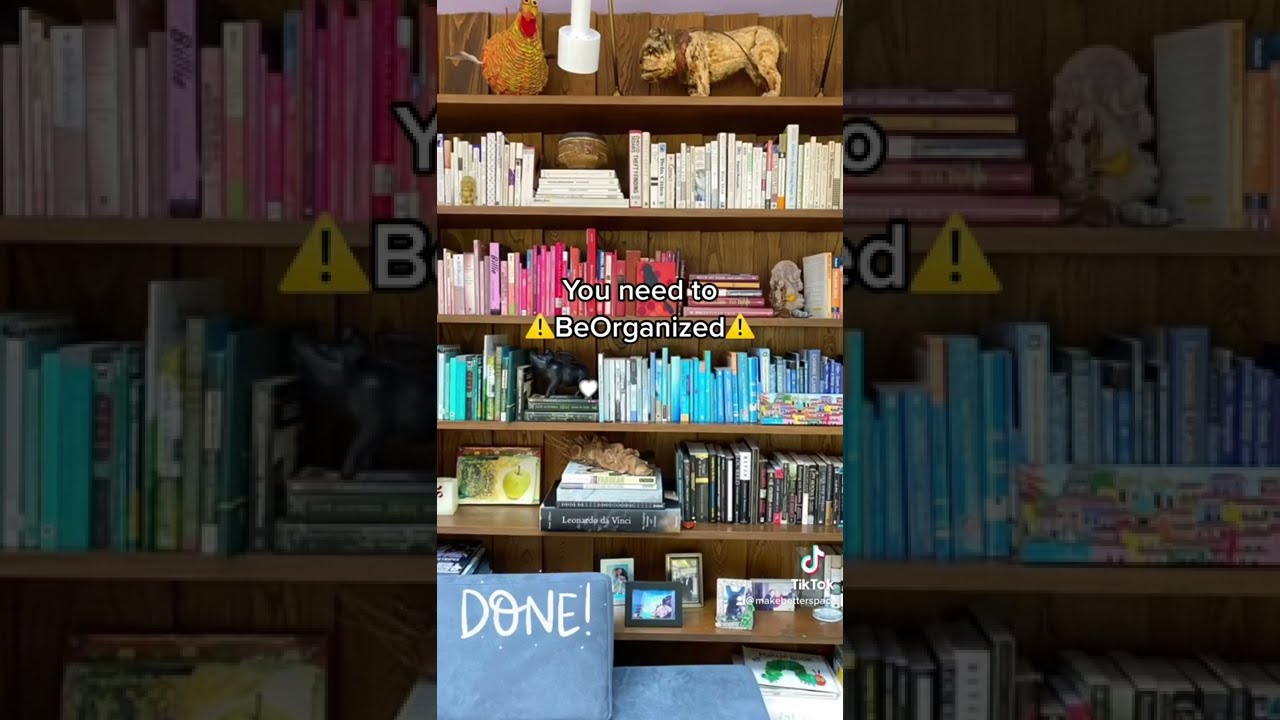 Rainbow Organizing Bookshelves