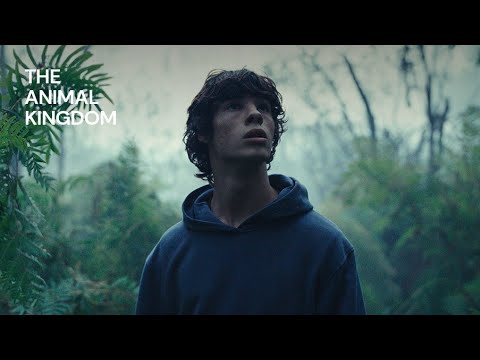 The Animal Kingdom (2023) movie recap| The Animal Kingdom (2023) Ending Explained|#reelrecaps