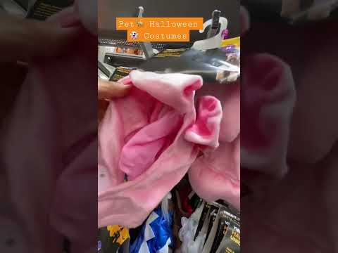 Trending Pet🦮 Halloween🎃 Costumes @Walmart #shorts
