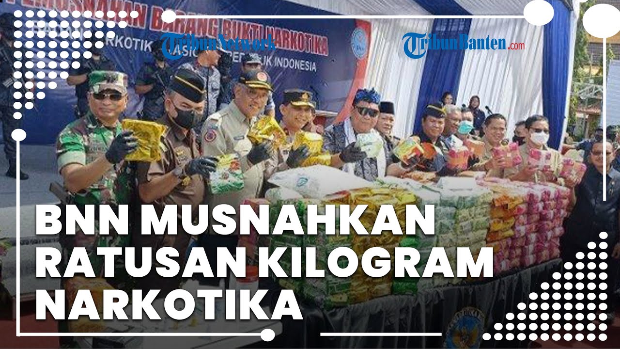BNN Musnahkan Ratusan Kg Barang Bukti Narkotika dari Bandar, Hasil ...