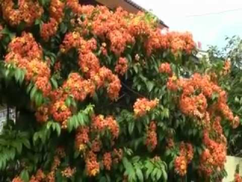 Klang Gates,Selangor,Malaysia pt 2 of 2.