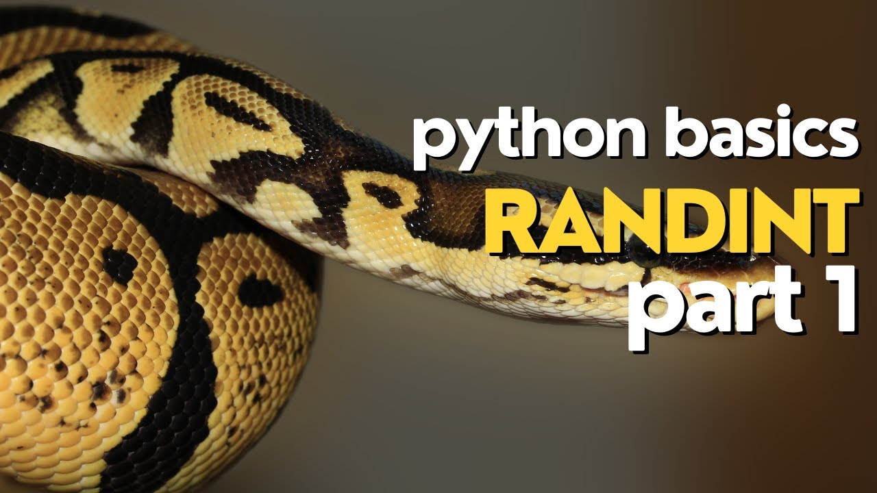Python Basics: Randint Command - Part 1