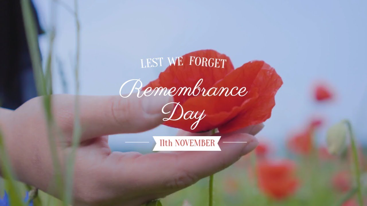 Free Remembrance Day Video Template (Customizable) - FlexClip