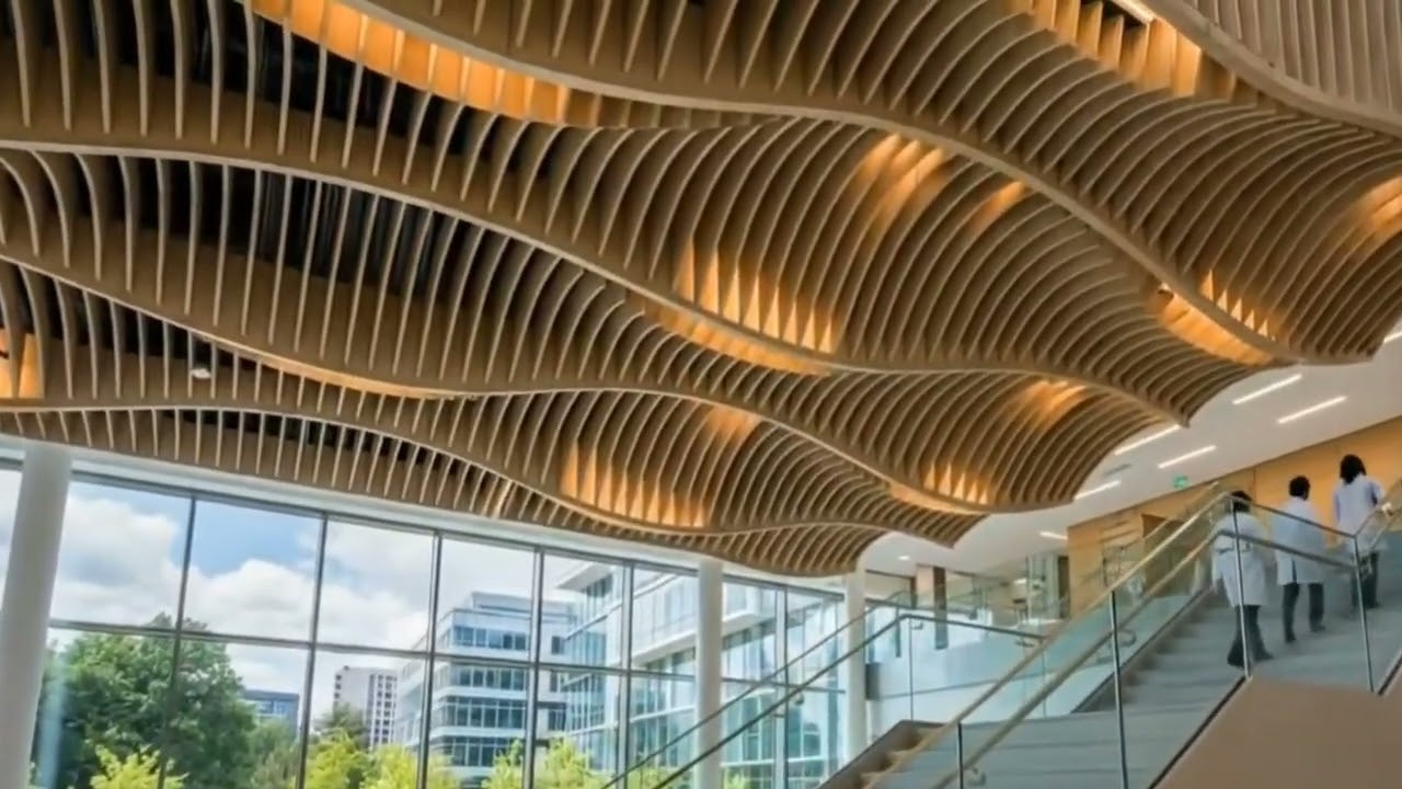 WoodLite™ | Lightweight Acoustic Wood Ceilings | CSI Creative