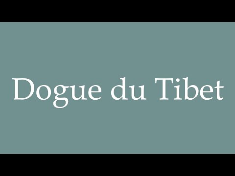 How to Pronounce ''Dogue du Tibet'' (Tibetan Mastiff) Correctly in French