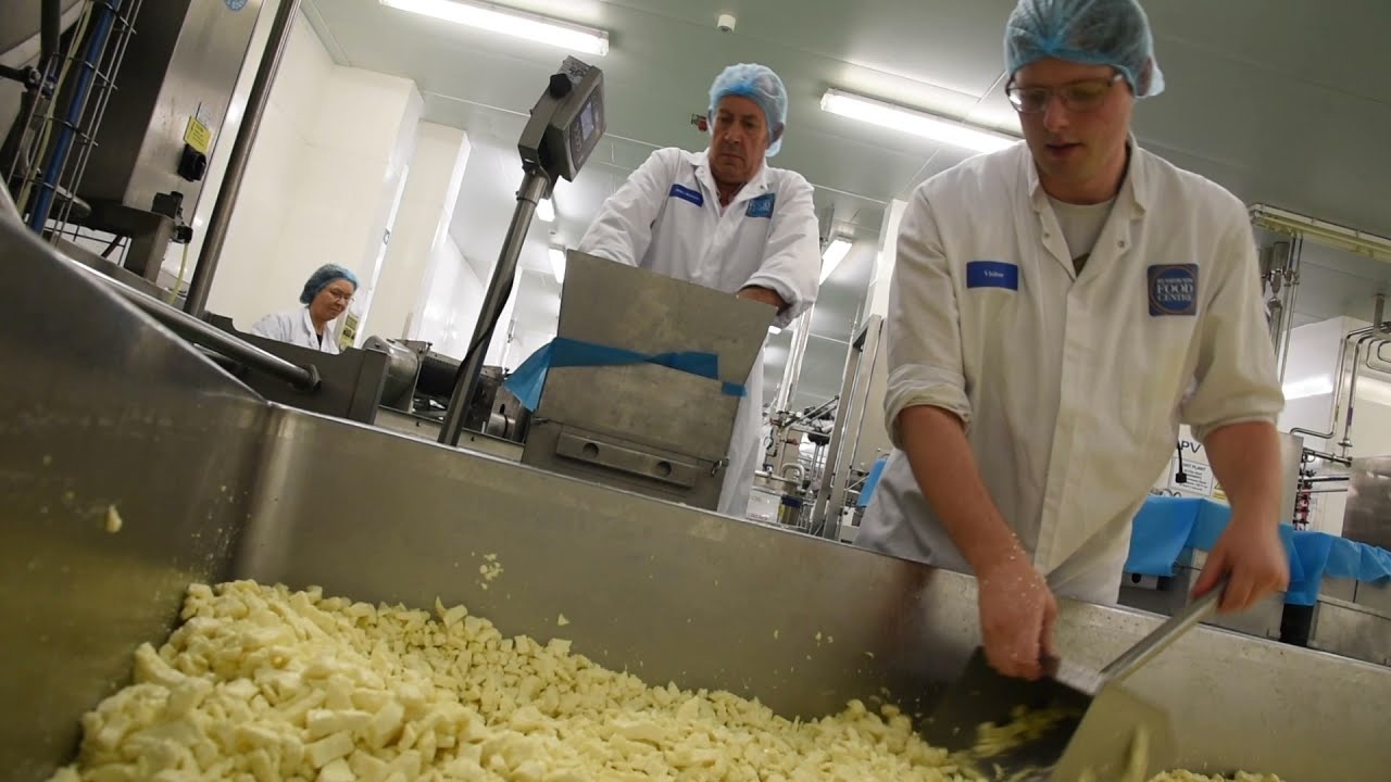 The making of the Reaseheath 100 Cheese