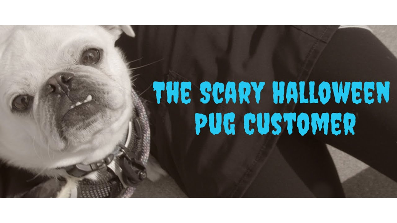 The Scary Halloween Pug Customer | LovelySkin