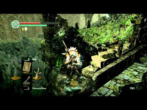 Steam Community :: Video :: Dark Souls Snuggly the Crow