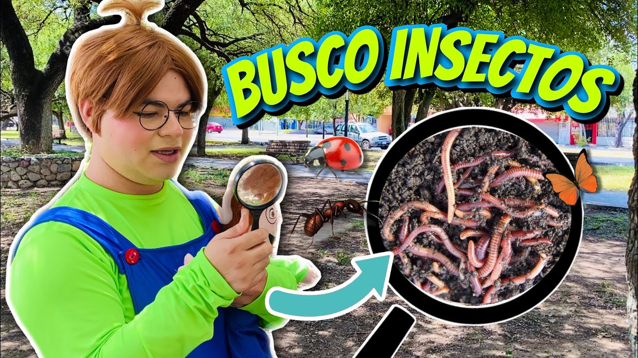 MEME TIENE PULGAS / BUSCANDO INSECTOS PELIGROSOS / ME PICA LA CABEZA