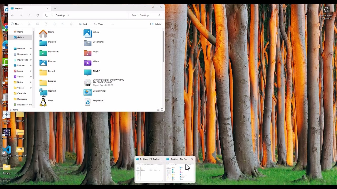 (React & .NET) Water Project, Phase 02 - 01 - GitHub