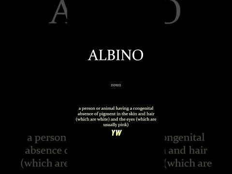 Albino #How to pronounce and meaning of the word #learnenglish #vocab #vocabulary #english #albino