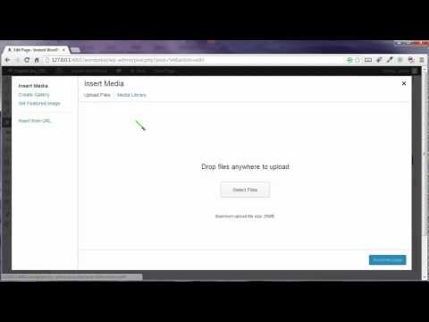 Tutorial - How to upload a PDF file to a WordPress page