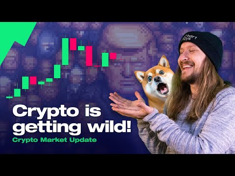 TRUMP Coin Shakes Up Crypto