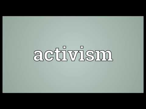Activism Meaning