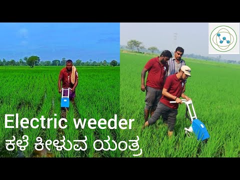Paddy Weeder - Paddy Weeder Machine Latest Price, Manufacturers & Suppliers