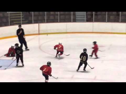 Noah Hockey Video