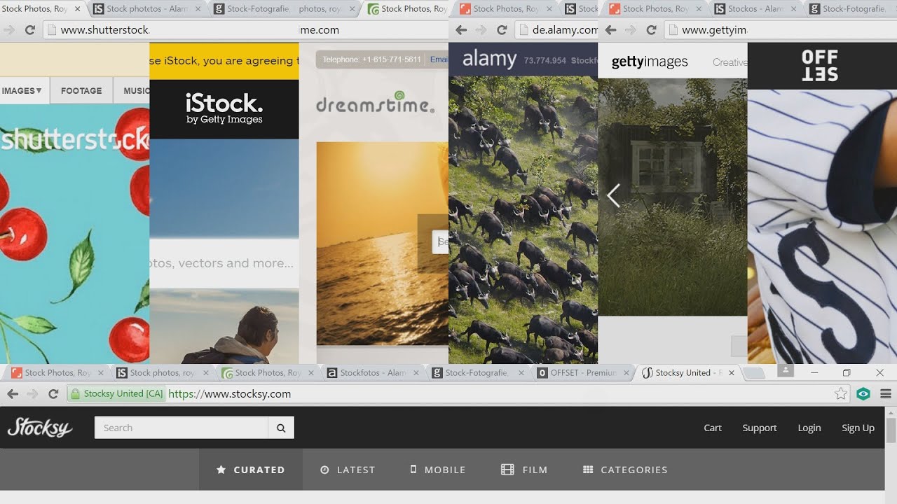 shutterstock vs istockphoto vs dreamstime vs alamy vs gettyimages vs offset vs stocksy