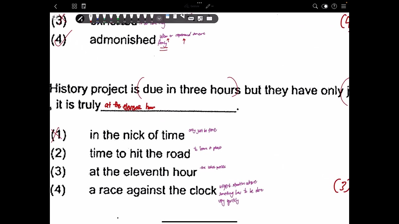 2022 P6 English  SA2 PRELIM ACS Primary Paper 2 FULL EXPLANATION BY TUTOR