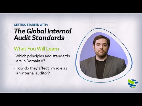 Getting Started With: The Global Internal Audit Standards: Domain V