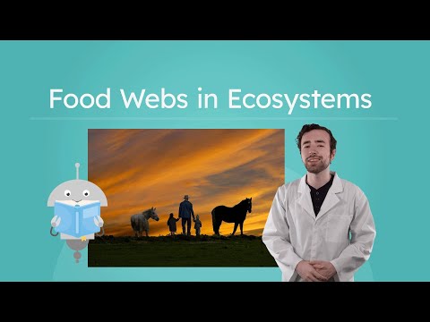 Food Webs in Ecosystems - Energy Flow and Ecosystem Connections