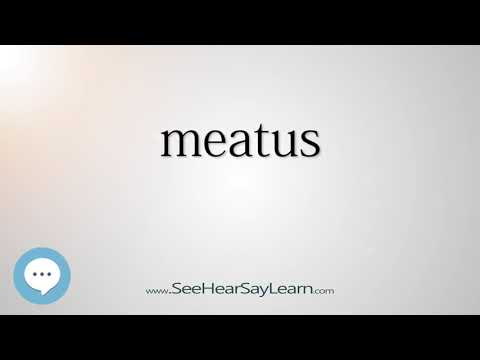 meatus - Smart & Obscure English Words Defined 👁️🔊🗣🧠✅