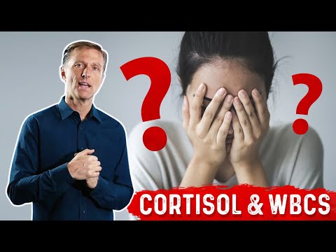 How Stress Affects Your White Blood Cells (WBCs) and Immune System