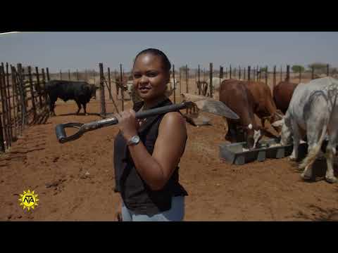 LYP3 Ep13 Animal Husbandry INDUSTRY FEATURE 5MIN
