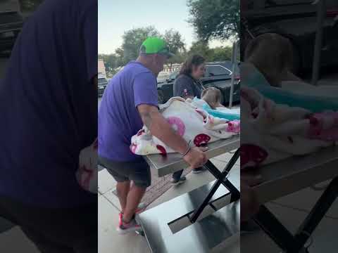 Skin-And-Bone Girl Needs URGENT, Life-Saving Blood Transfusion Or Else She Will Die [STORY BELOW]