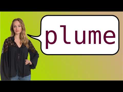 How to say 'feather' in French?