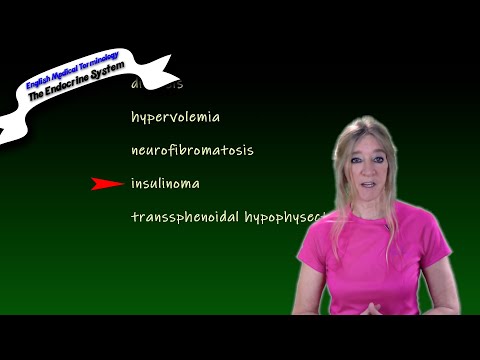 English Medical Terminology: The Endocrine System