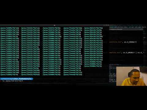 Linux command-line: Gather list of open files using a script-friendly technique