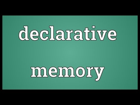 Declarative memory Meaning