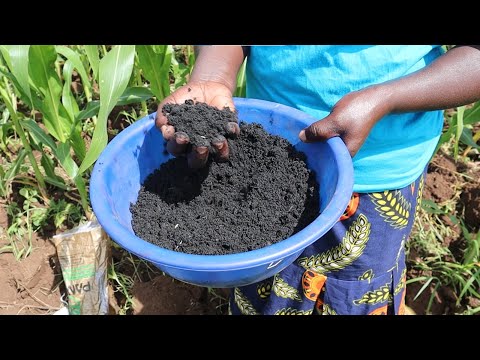 Presentation | PlantVillage XPRIZE Carbon Capture via Biochar Initiative