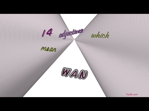 wan - 17 adjectives which are synonym of wan (sentence examples)