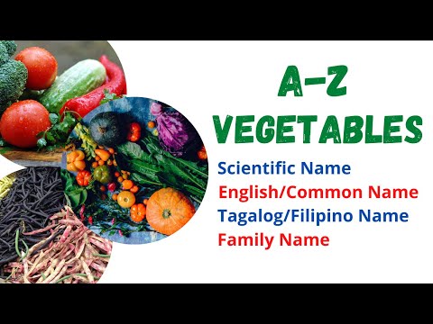 VEGETABLES Scientific Name, Common Name, Family Name, Filipino Name