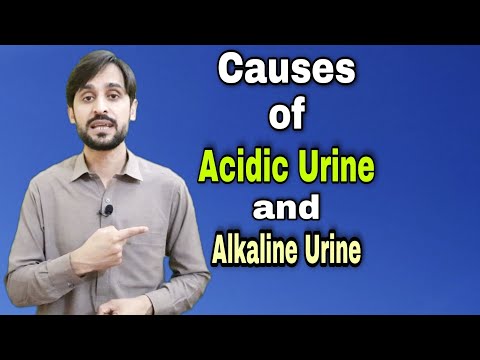 Causes of Acidic And Alkaline pH of Urine