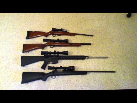 Best Varmint Calibers and Rifles