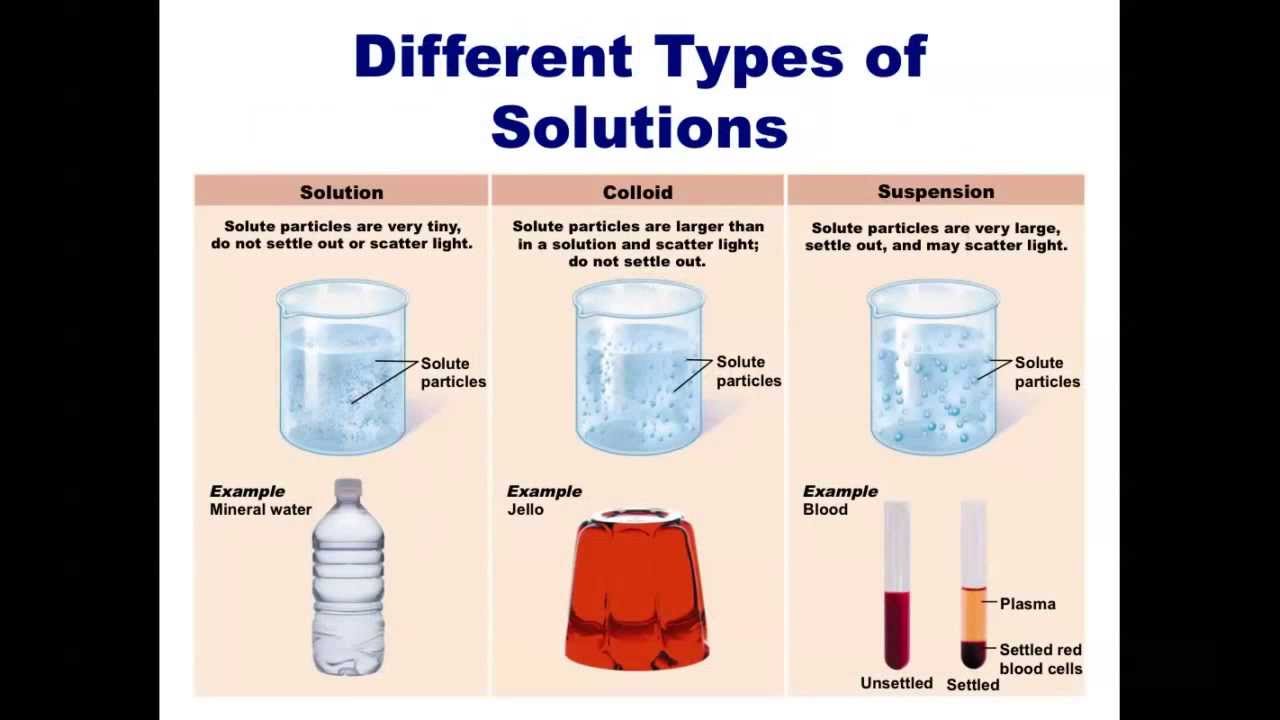 Human Anatomy and Physiology: Solutions