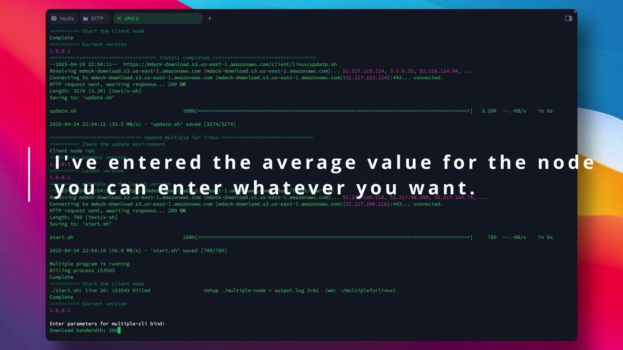 Node Guide Multiple guide (Bash script)  | Very fast installation