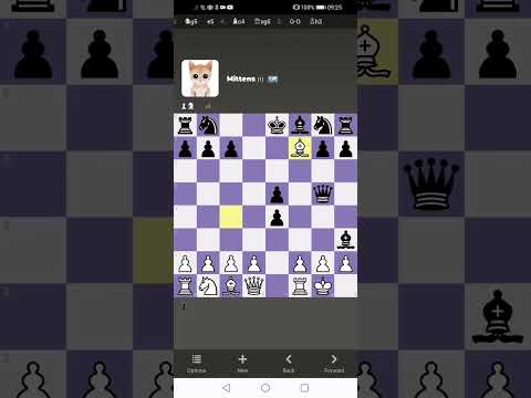 Trying to win against Mittens chess bot.