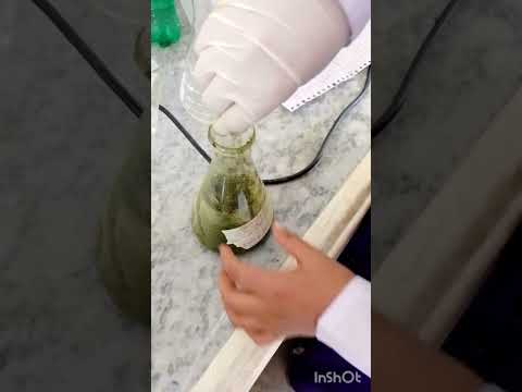 Maceration of plant material in ethanol for phytochemical analysis and activities@solutionpharmacy