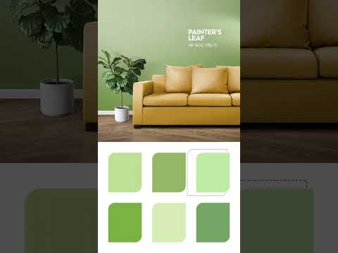 Light green colour shade for living room || #dailyshorts #shorts #dkspainter