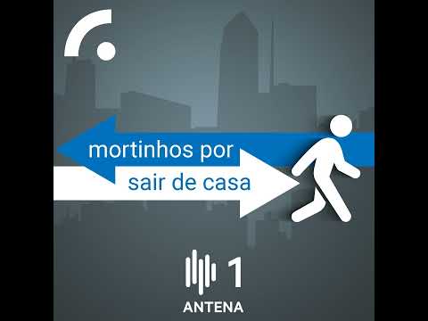 Os ofícios, as bibliotecas e uma nova vida para o lixo marinho