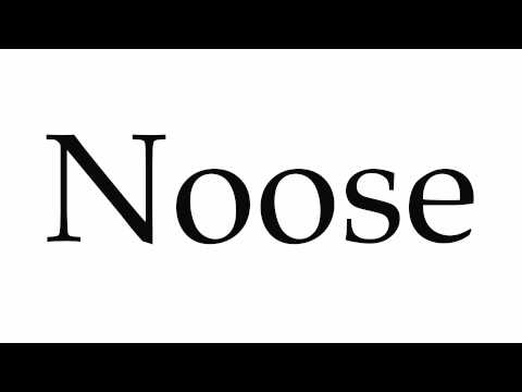 How to Pronounce Noose